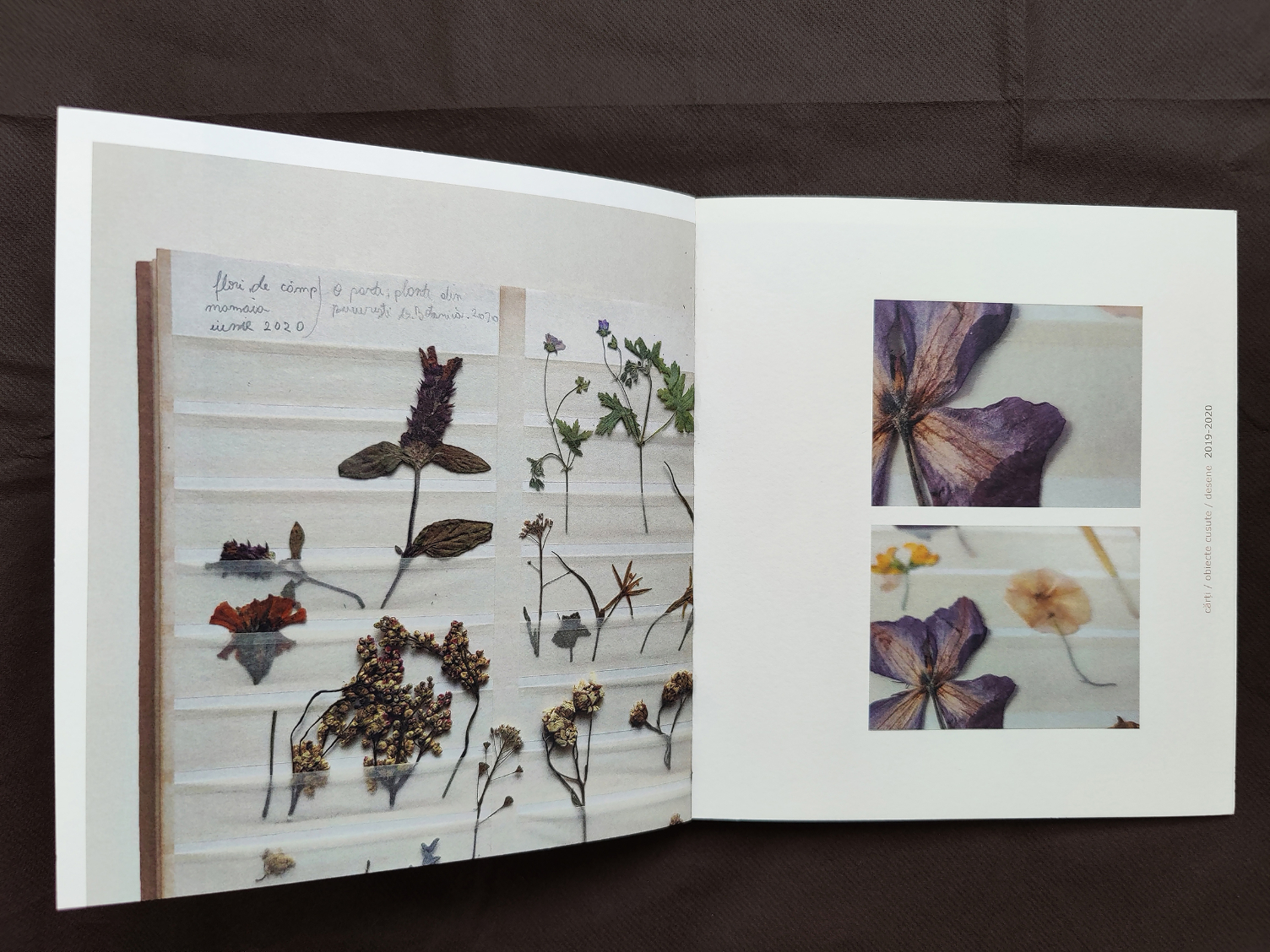 În șir | Romanian Design Week